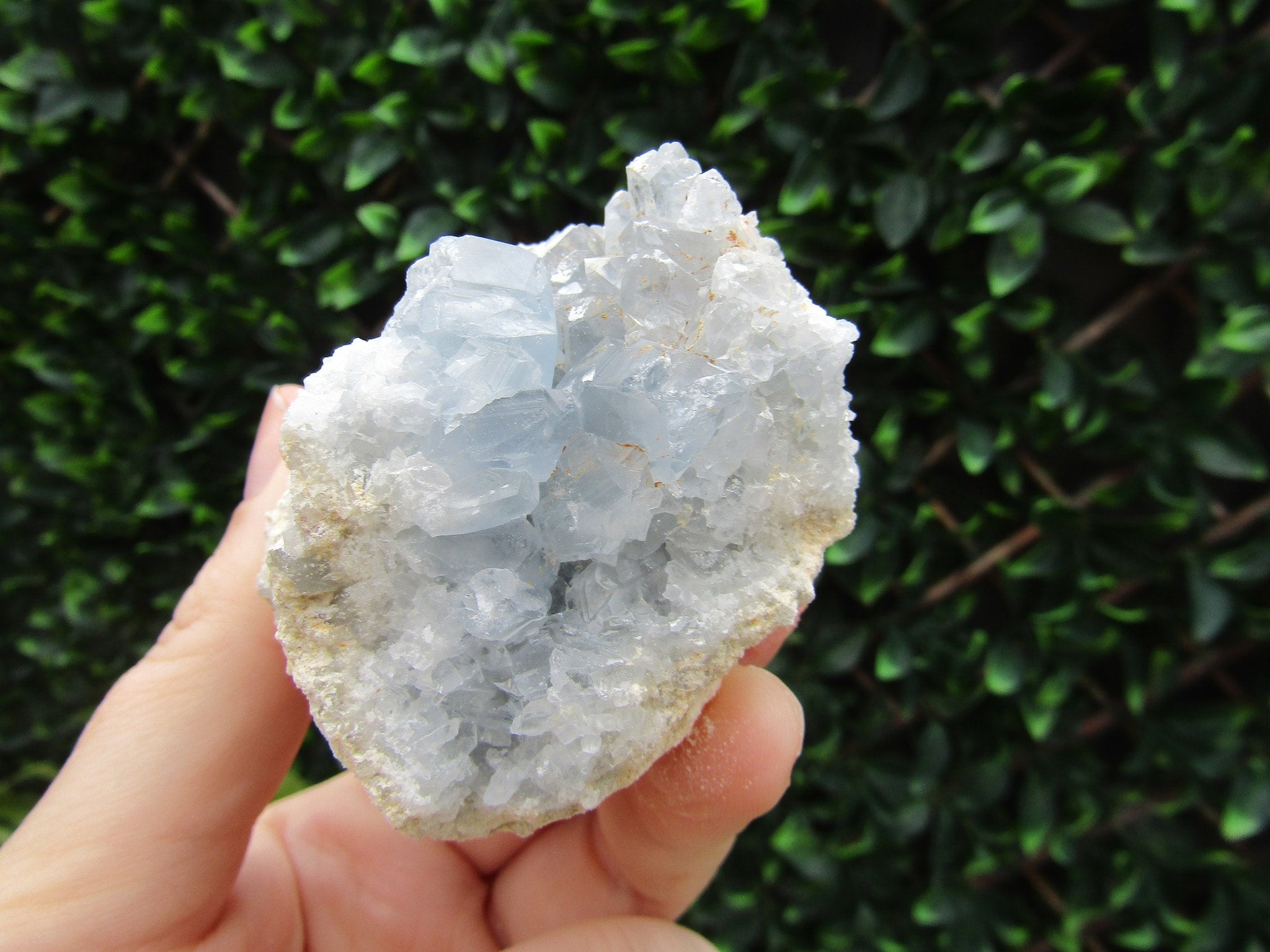 Celestite Cluster #6 | Crystal Kits AU