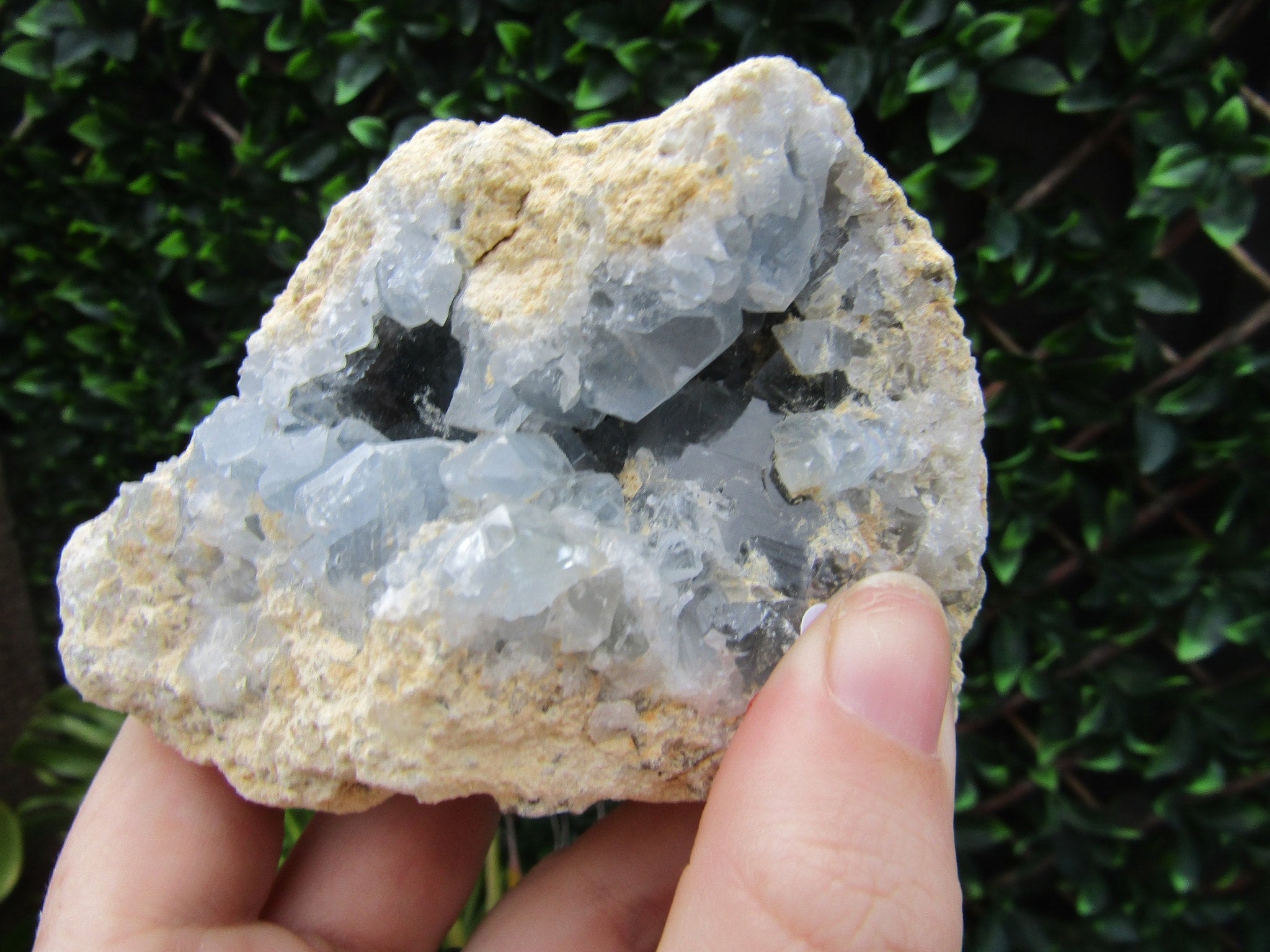 Celestite Cluster #12 | Crystal Kits AU